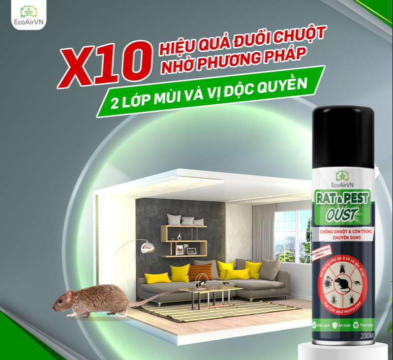 Xịt đuổi chuột chuyên dụng cho gia đình Rat & Pest Oust 200ml - Ecoair ...