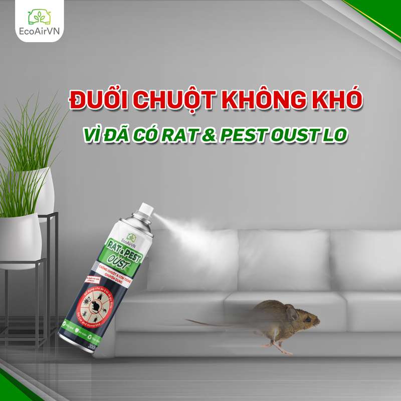 Xịt đuổi chuột Rat & Pest Oust - EcoAir Vietnam
