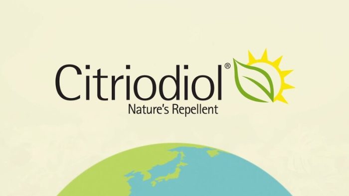 Citriodiol là gì? Những tác dụng của Citriodiol - Ecoair Việt Nam