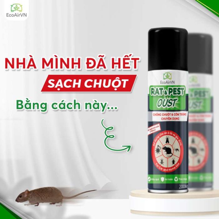 Cách đuổi chuột chung cư hiệu quả - Ecoair Việt Nam
