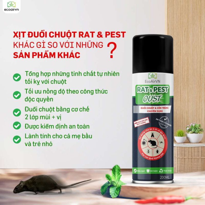 Rat & Pest Oust khác gì so với những loại xịt chuột khác? - Ecoair Việt Nam