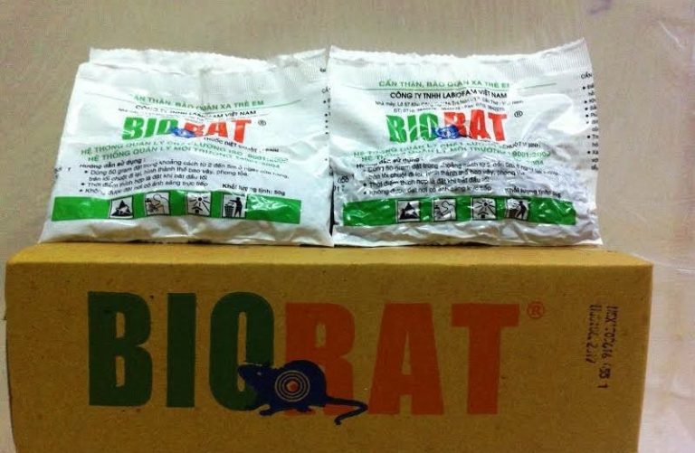 Các loại thuốc đuổi chuột dạng viên phổ biến hiện nay - Ecoair Việt Nam